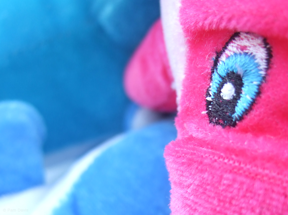 Dolphin Depth | Artsypam | Pam Davis | Artist & Graphic Designer